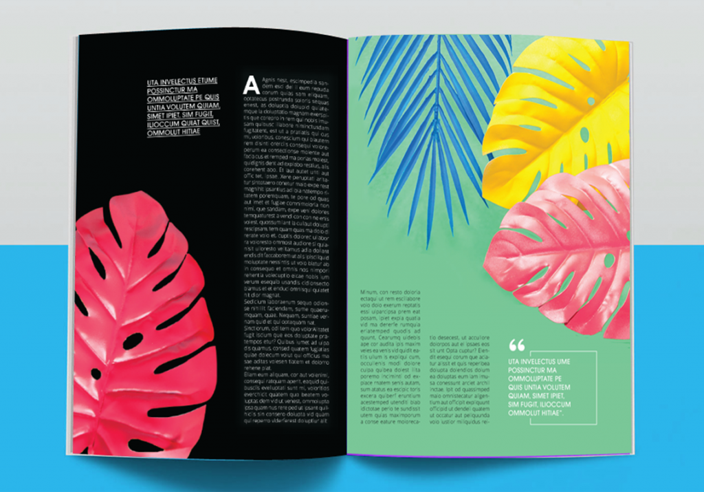 Tropical Mag - Ideia Ideal